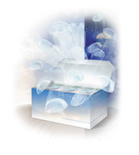 Optometric Management | PentaVision