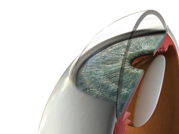 Optometric Management | PentaVision